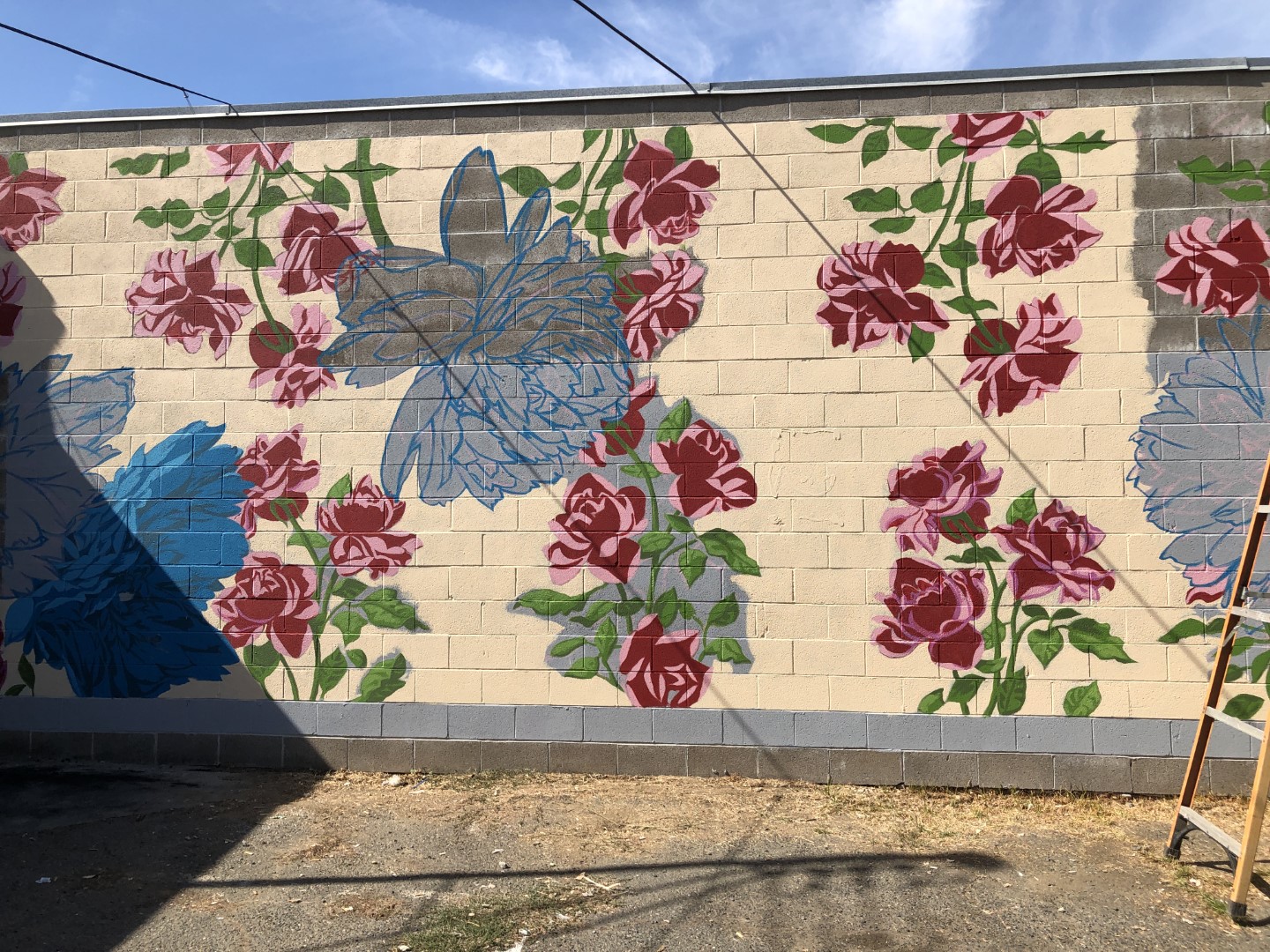 PROVIDENCE – Davy Fiveash – Sacramento Mural Alley