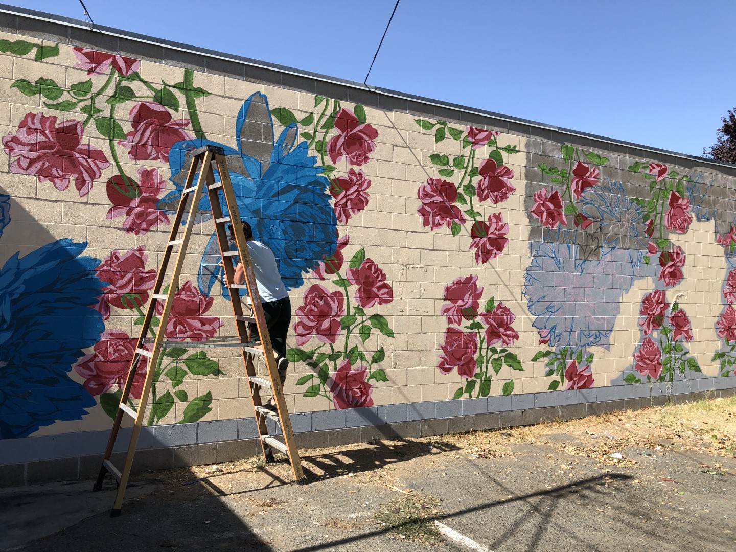 PROVIDENCE – Davy Fiveash – Sacramento Mural Alley