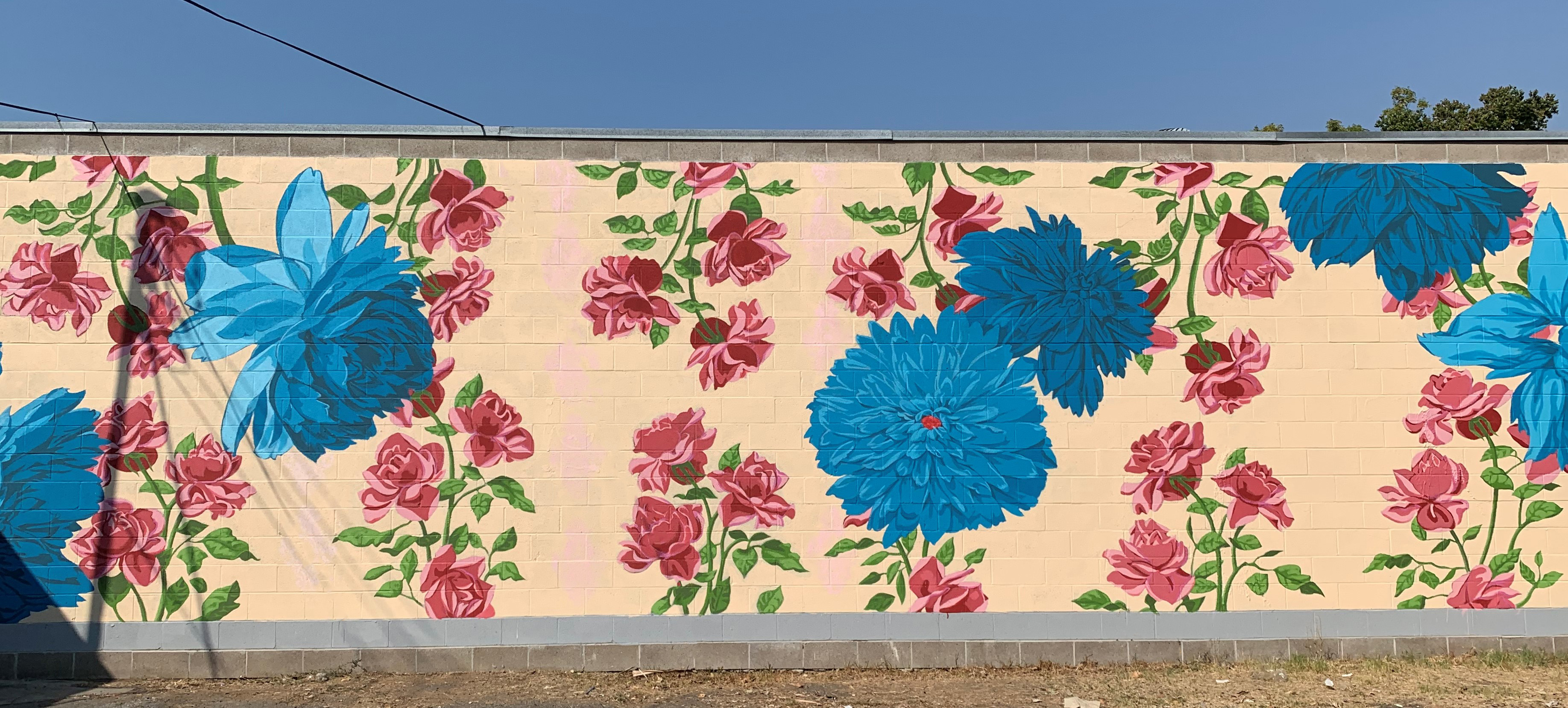 PROVIDENCE – Davy Fiveash – Sacramento Mural Alley